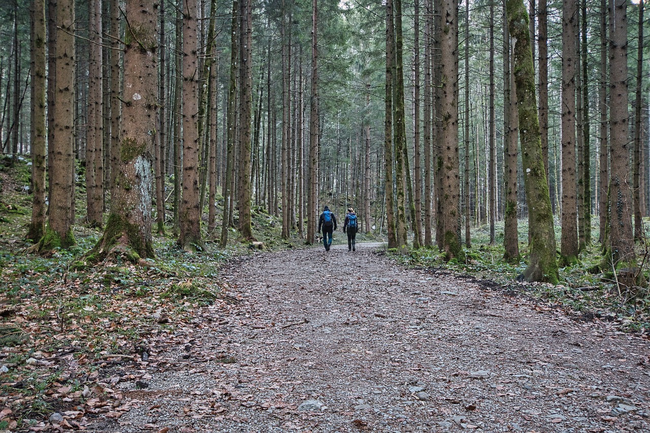 Pirmajā adventē debesis būs mākoņainas, tomēr laiks būs sauss ...
