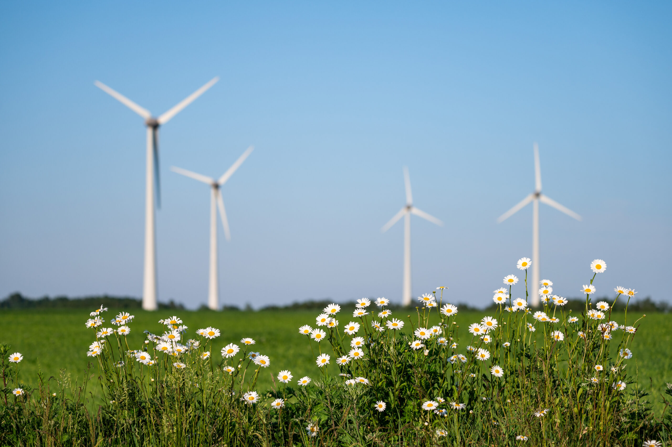 Ignitis Renewables sniedz atbildes un skaidro iedzīvotājiem “Stelpe–1 ...