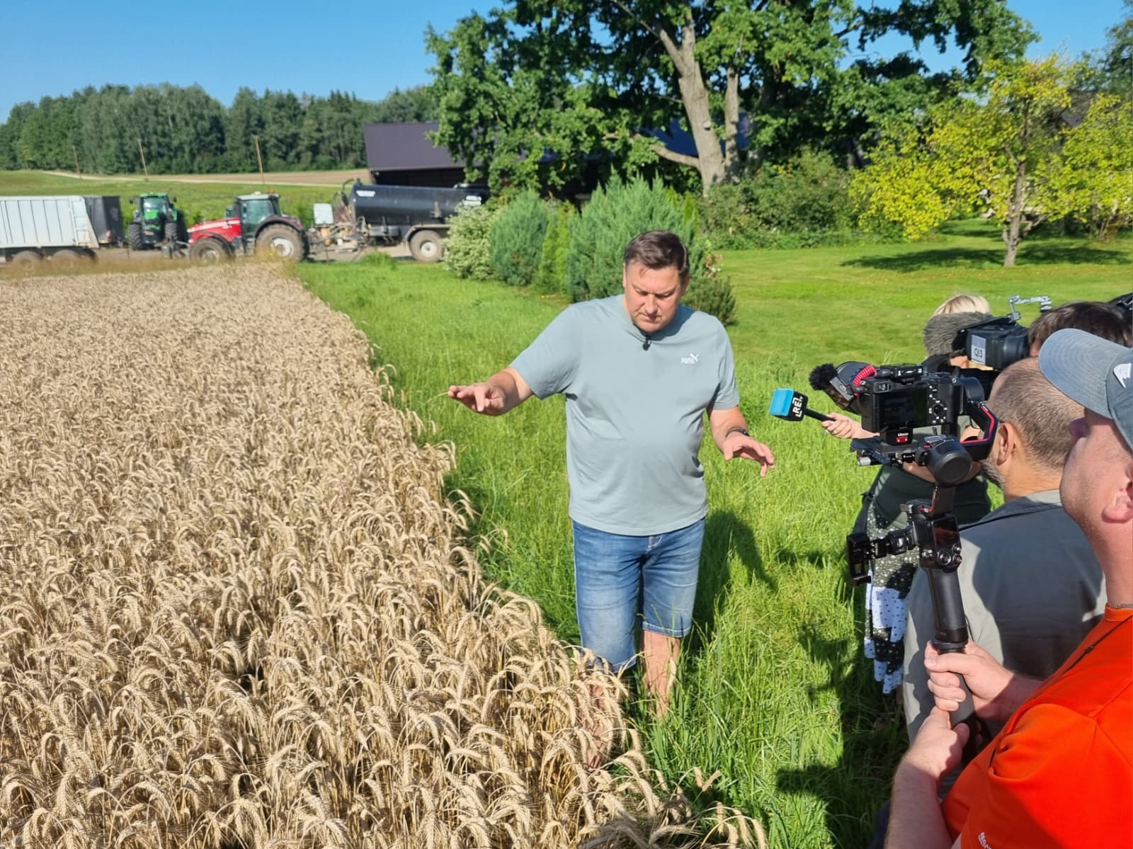 Foto: Graudi dīgst, kartupeļi pūst; Iecavas puses zemnieks ieskicē šī ...